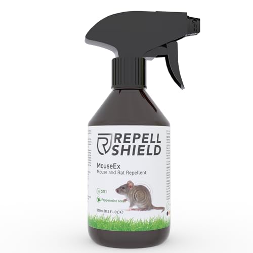The BEST Mouse & Rodent deterrents for Motorhomes, RVs and Campers ...