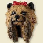 Amazon.com: Yorkie (Yorkshire Terrier) Magnet : Home & Kitchen