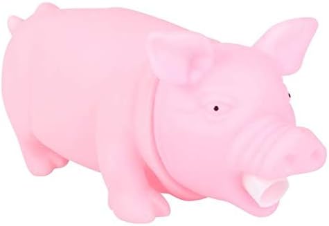 Why Do Dogs Snort Like Pigs