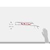 Amazon.com: Buy Me A Shot/Ask Me Why Satin Sash Party Accessory (1 ...