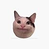 Amazon.com - Polite Cat Vinyl Waterproof Sticker Decal Car Laptop Wall ...