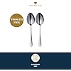 MasterClass Duo of Stainless Steel Serving Spoons, 2-Piece Spoon Set ...