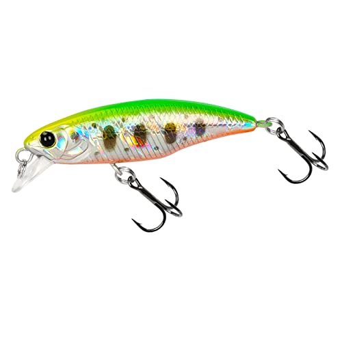 Top 10 Jerkbait For Smallmouth Bass of 2022 - Katynel
