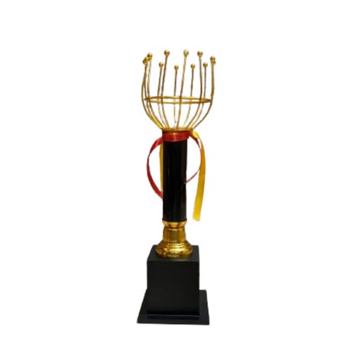 Trophy Cup for Achievements, 14 Inches Height, Durable Iron Stand, Home ...