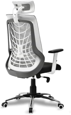 ASTRIDE Octave Ergonomic Office Chair for Home | 3-Years Warranty | 2D ...