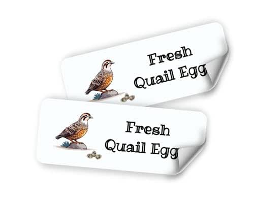 Amazon.com: 60 Quail egg carton labels, Thank you stickers : Arts ...