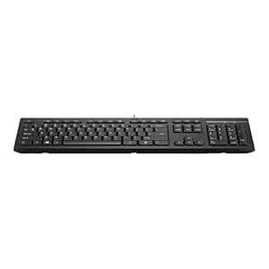 Amazon.in: Buy HP 125 Wired Keyboard Online at Low Prices in India | HP ...