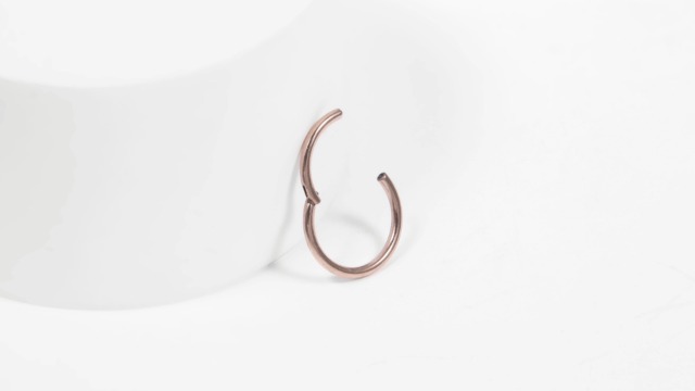 Watch Aumeo 16G Nose Ring Hoop Hinged Clicker Segment Septum Lip ...