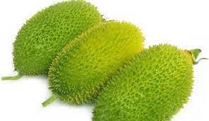 Spine gourd seeds hybrid (Pack of 14) : Amazon.in: Garden & Outdoors