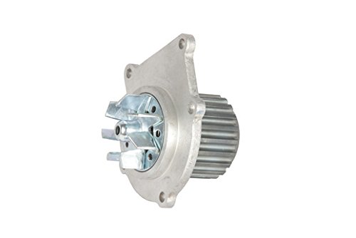 TATA Genuine Parts Assy Water Pump, 135 mm x 90 mm x 135 mm : Amazon.in ...