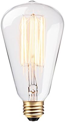 Globe Electric 60W Vintage Edison G30 Vanity Tungsten Incandescent ...