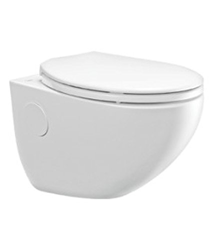 Cera CR 2030 Wall Hung Carnival (510 x 365 x 380 mm, White) : Amazon.in ...