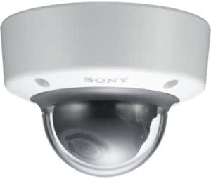 Sony IPELA Surveillance/Network Camera - Color, Monochrome : Amazon.ca ...