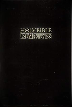 Buy Holy Bible. New International Version NIV Book Online at Low Prices ...