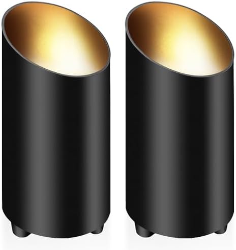 SUNVIE 2 Pack Up Lights Indoor Floor Can Light Uplighting Indoor ...