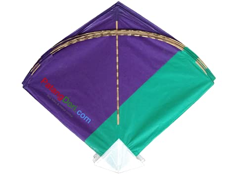 PatangDori.com Torunament Qualty Patang Indian Fighter Kite Pack of 50 ...