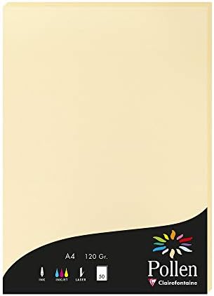 Clairefontaine 4279C - Étui de 50 Feuilles - Format A4 (21x29,7cm ...