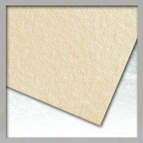 Amazon.com : Arches Cover Printmaking Paper - Single Sheet 250 gr 22x30 ...