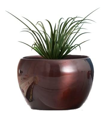 Aarav Decorative Small Metal Vase Pot Flower Pot Table Pot for Live ...