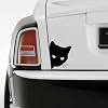 TNSRAY Autocollant Chat Noir Amusant pour Voiture et vitres ...