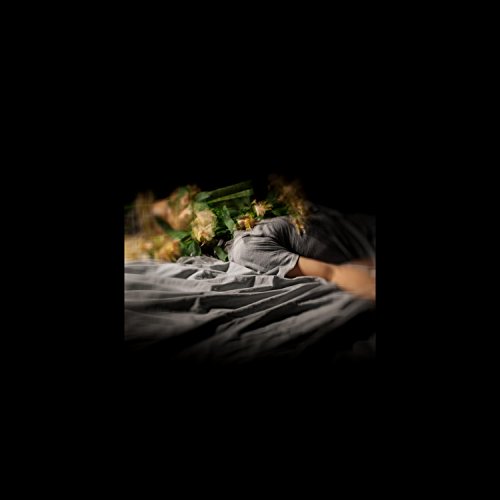 Barricades by Dylan Fagan on Amazon Music - Amazon.com