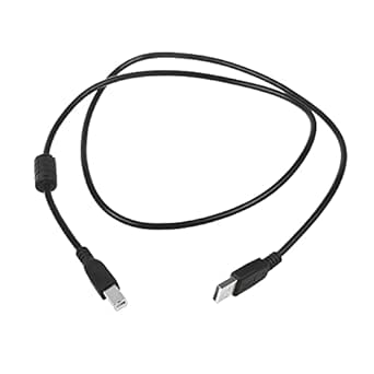 Amazon.com: Dysead 3.3ft USB PC Cable Compatible with Native ...