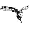 Amazon.com: Flying Owl Wall Decal Sticker. Forest Home Decor Sticker ...
