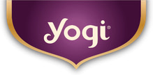 Amazon.com : Yogi Tea - Green Tea Blueberry Slim Life (4 Pack ...
