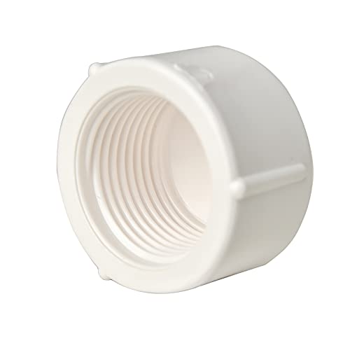 Snapklik.com : FangKingNo 10pcs 1 PVC Pipe Fittings End Female Thread ...