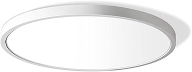 12 Inch LED Flush Mount Ceiling Light Fixture, 5000K Daylight White ...