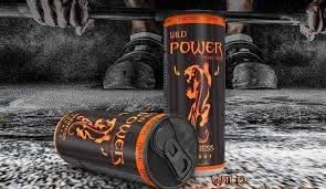 Wild Power Energy Drink 250ml (Pack Of 2) : Amazon.in: Grocery ...