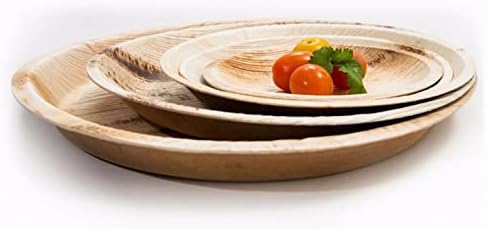 Canape King Disposable Palm Leaf Serving Trays (10 Pcs) - 100% Natural ...
