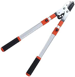Amazon.com : Handheld Extendable Garden Shears Garden Prune Tools ...