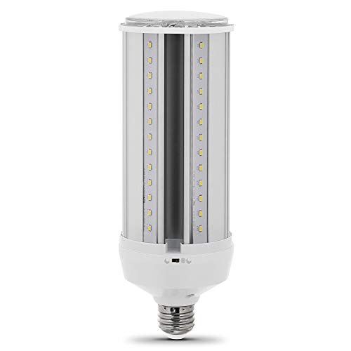 Feit Electric C4000/5K/MM/LEDI 300W Equivalent 38-Watt Non-Dimmable ...