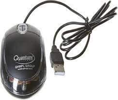 Amazon.in: Buy QUANTUM Mouse USB Online at Low Prices in India ...