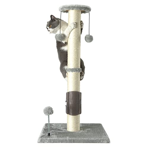 How To Stop Cat From Scratching Door Frame: Real People Tips