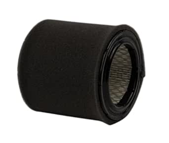 Beta 1 Filters Replacement Air Filter Compatible with S1014 / AIR ...