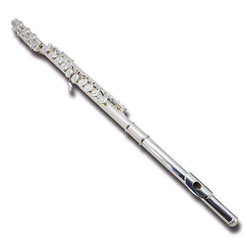 Best Student Flutes Beginners - 10Reviewz