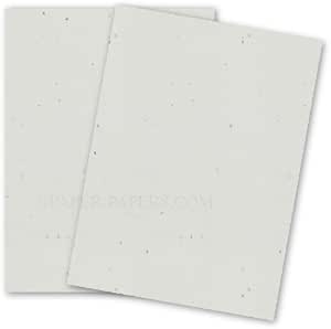 Amazon.com : Astrobrights 11 x 17 Paper - Stardust White - 60lb Text ...