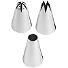 Amazon.com: Wilton Tip Set, X-Large: Wilton Decorating Tips: Home & Kitchen