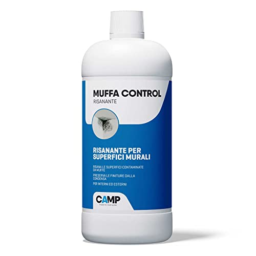 Muffa in casa? Ecco Come Sconfiggerla per Sempre! | Edil D'arco