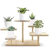 Amazon.com : Tabletop Plant Stand Indoor Small 4 Tier Adjustable Wooden ...