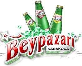 Amazon.com: Beypazari Turkish Mineral Water 200ml X 24 each(Maden Suyu ...