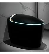 WinZo Luxury Smart Toilet With Bidet Seat, Elongated Egg Shaped Modern ...