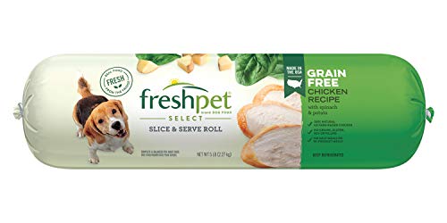 Top 10 Fresh and Nutritious Dog Food Selections You Can't Help But Love ...