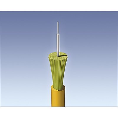 Multimode 62.5/125 Simplex Fiber Optic Cable 3mm Riser 1CT: Amazon.com ...