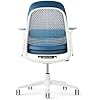 Amazon.com: Haworth Breck Office Chair - Ergonomic Desk Seat with ...