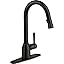 Moen 87233 Adler One-Handle High Arc Pulldown Kitchen Faucet with Power ...