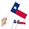 Amazon.com : Anley Texas State Mini Flag 12 Pack - Hand Held Small ...