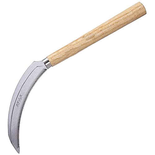 Falcetto → Classifica dei Più Venduti Online nel 2025